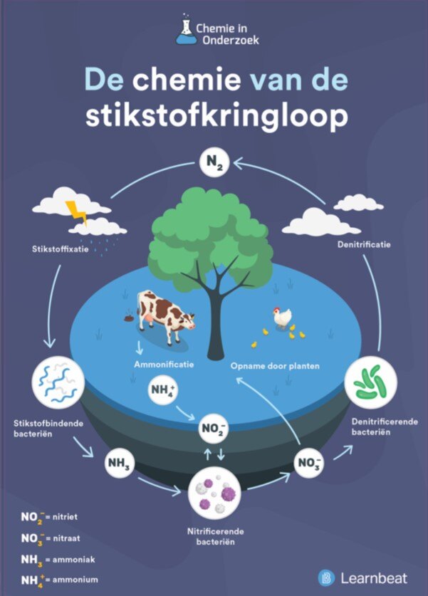 Educatieve poster over de Stikstofkringloop voor het vak Scheikunde
